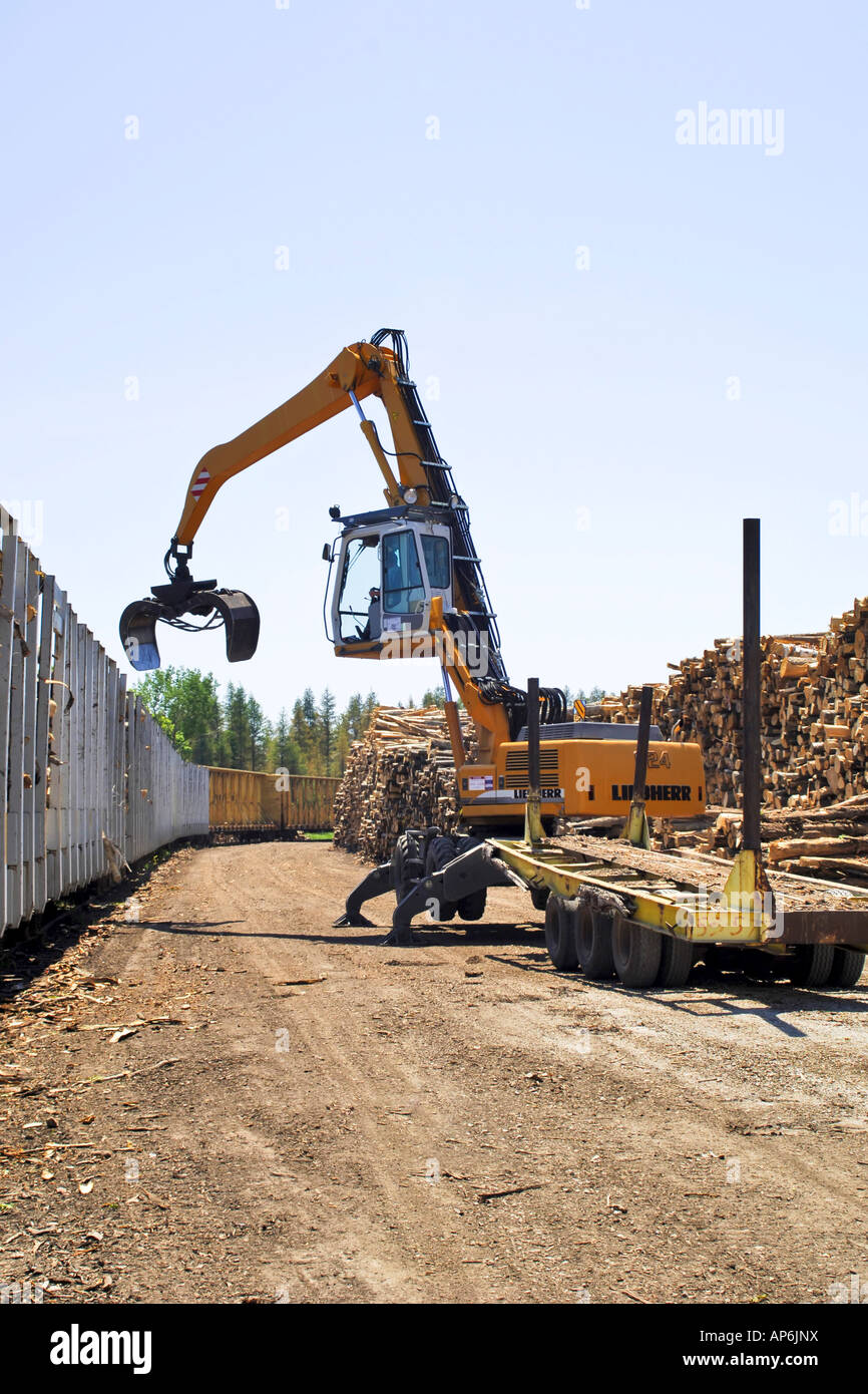 Moving logs into rail carriages at a logging distribution center in ...
