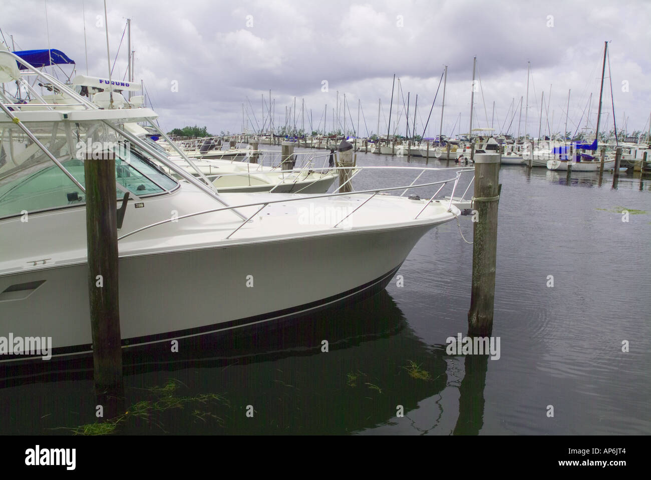 Florida boats hi-res stock photography and images - Alamy