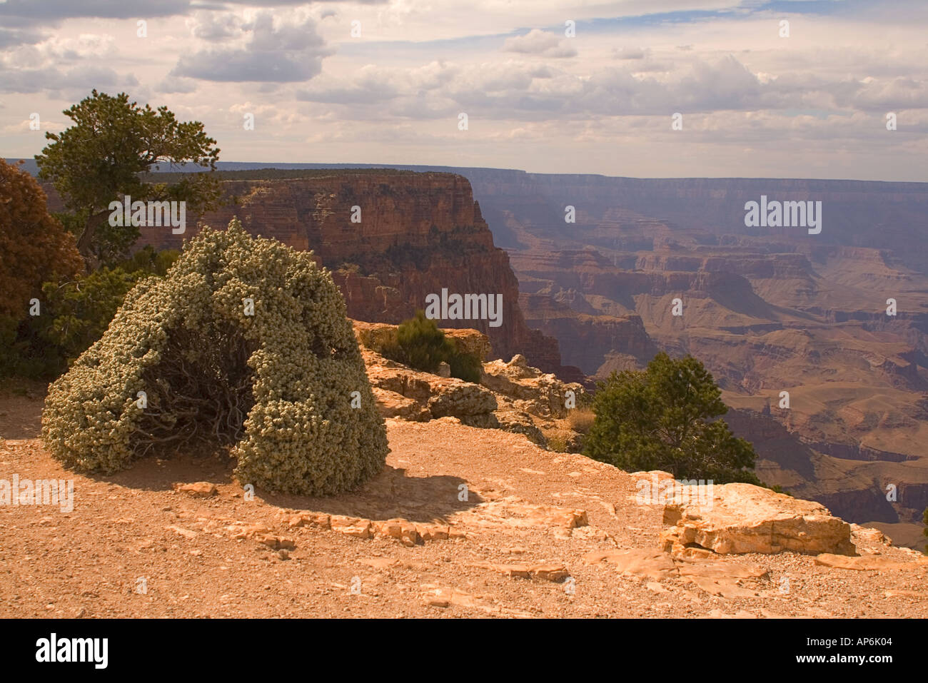 Grand Canyon, Desert View overlook Stock Photo - Alamy