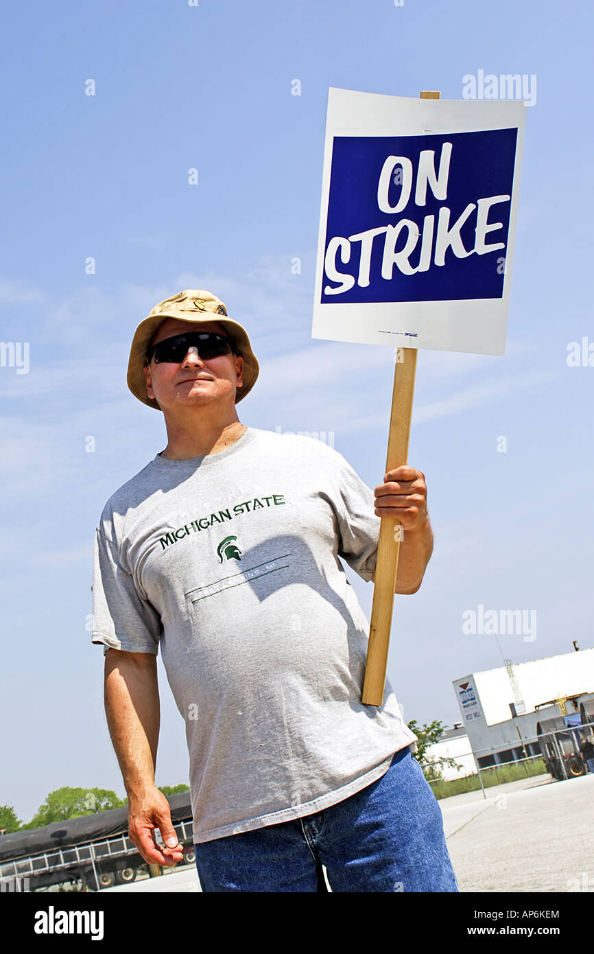 Michigan wildcat hi-res stock photography and images - Alamy