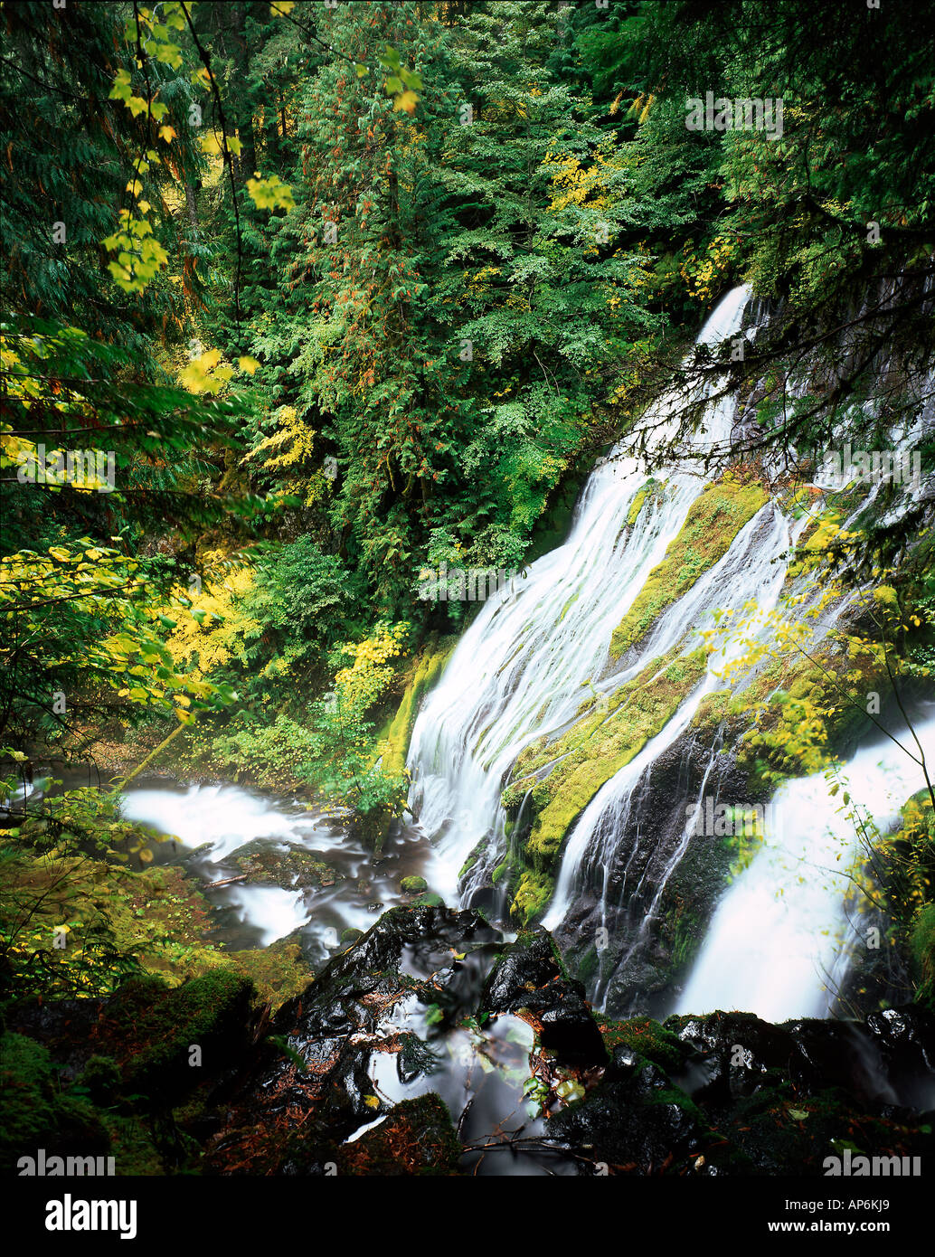 Waterfalls at Panther Creek, just outside of Carson, Washington ...