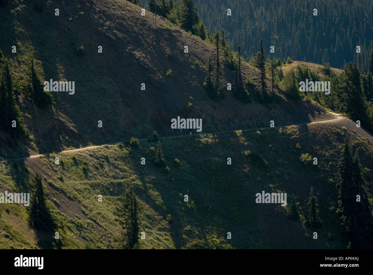 hikers on Hurricane Ridge Trail Stock Photo - Alamy