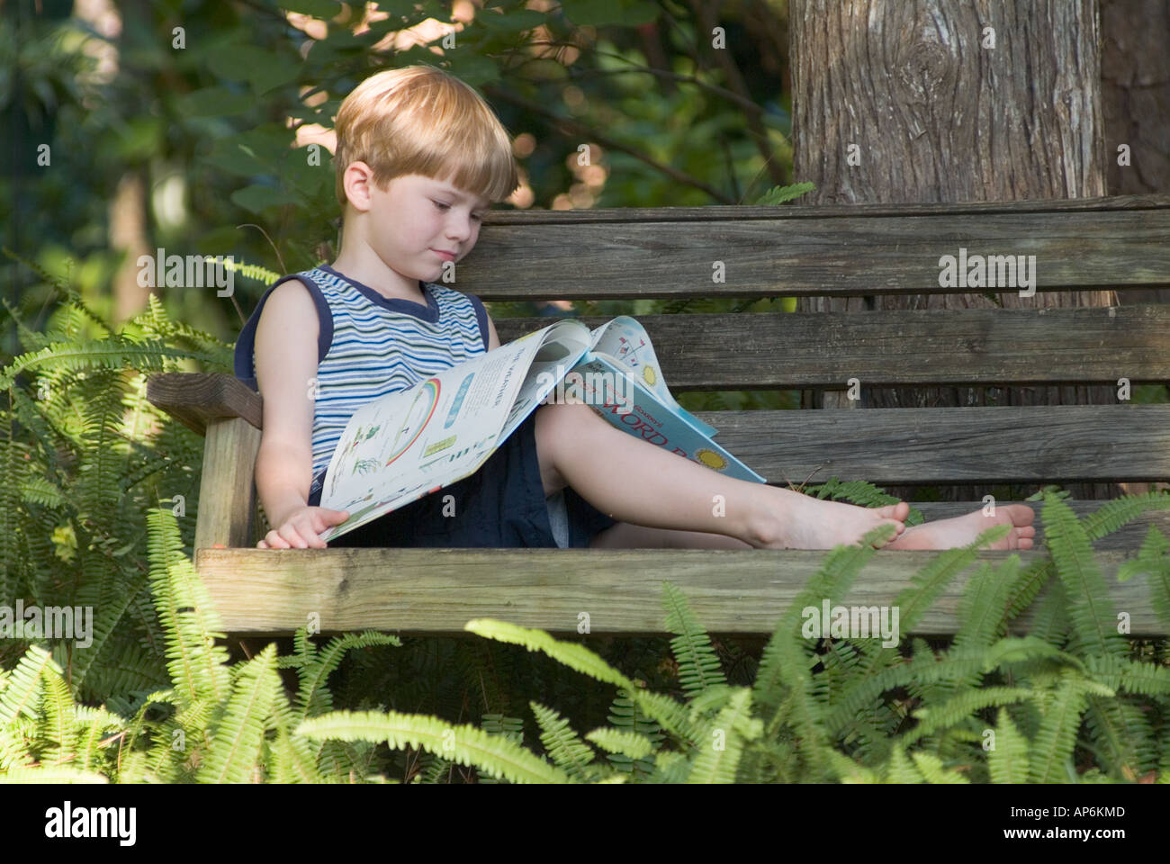Children reading books under tree hi-res stock photography and images ...