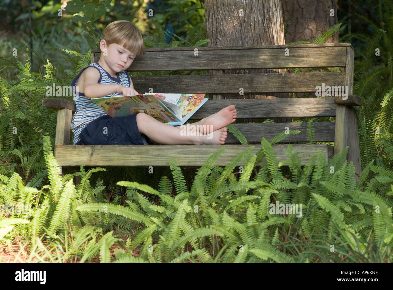 Children reading books under tree hi-res stock photography and images ...