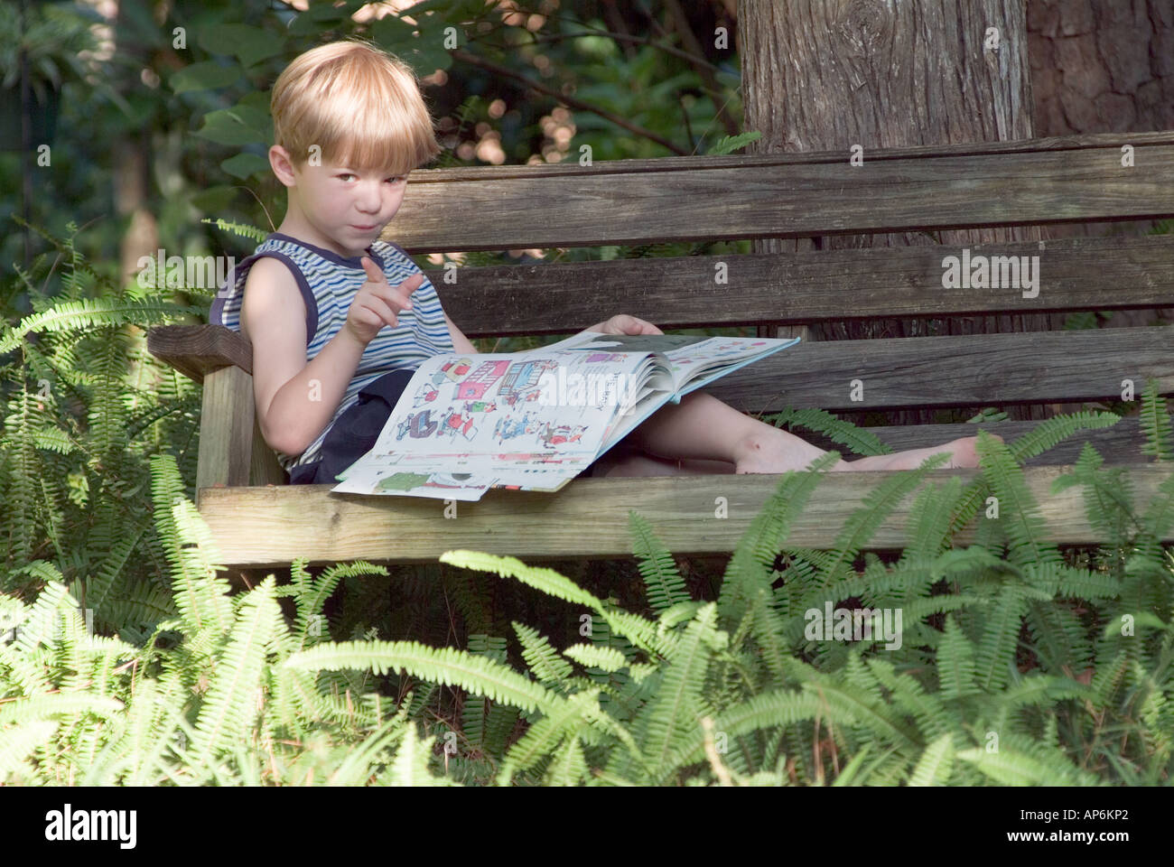 boy reading on wood bench surrounded by ferns under shady tree Stock ...