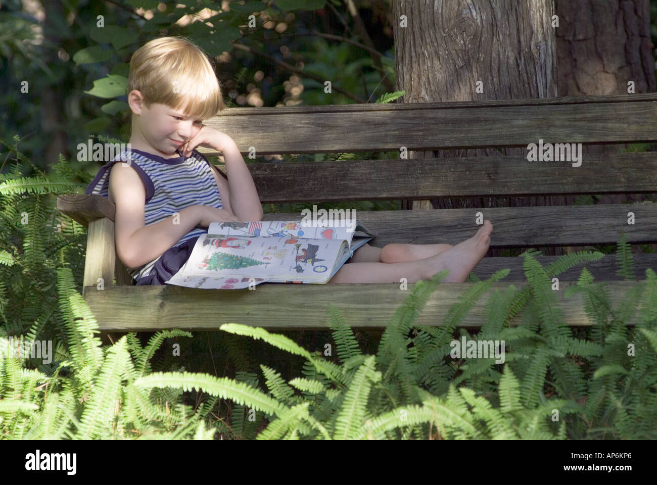 boy reading on wood bench surrounded by ferns under shady tree books ...