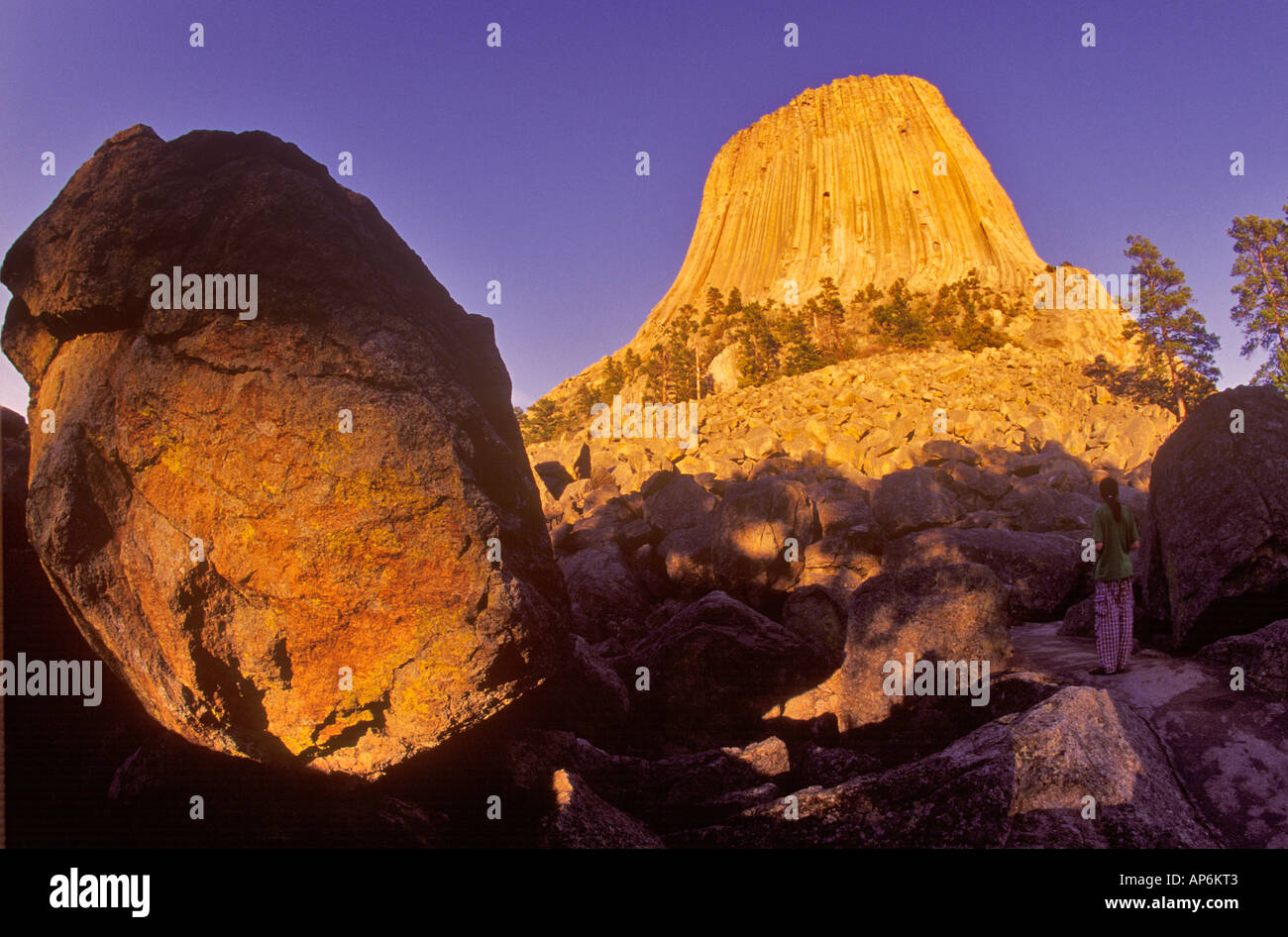 Devils tower basalt rock usa hi-res stock photography and images - Alamy