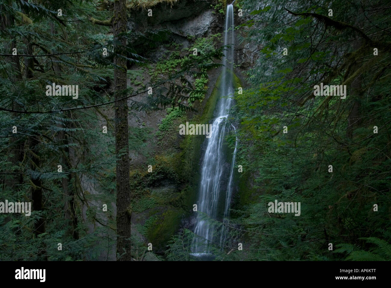 waterfall seen through trees Stock Photo - Alamy