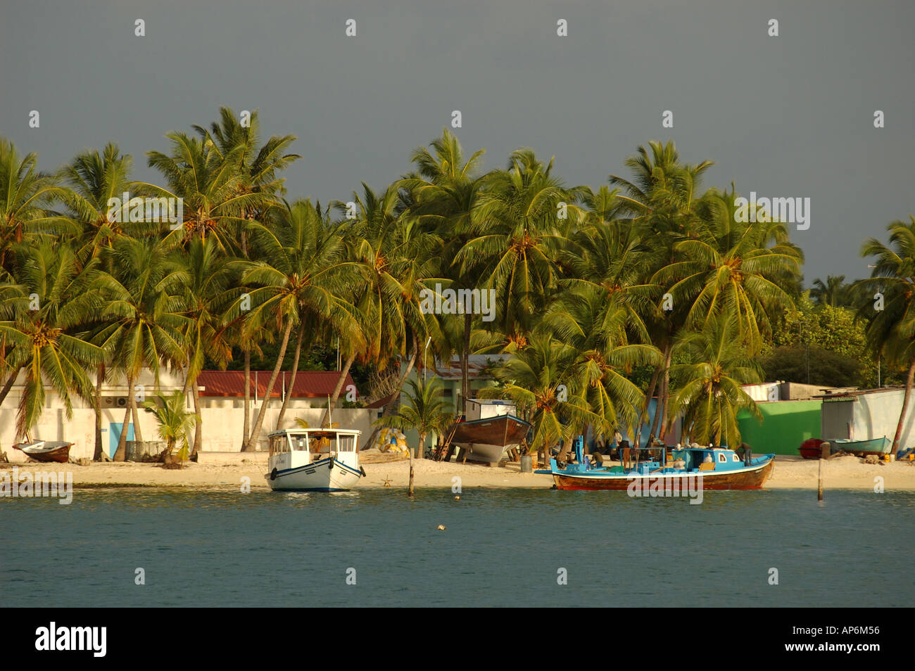 Evening sun baths the beach front and fishing boats Thulusdhoo Island ...