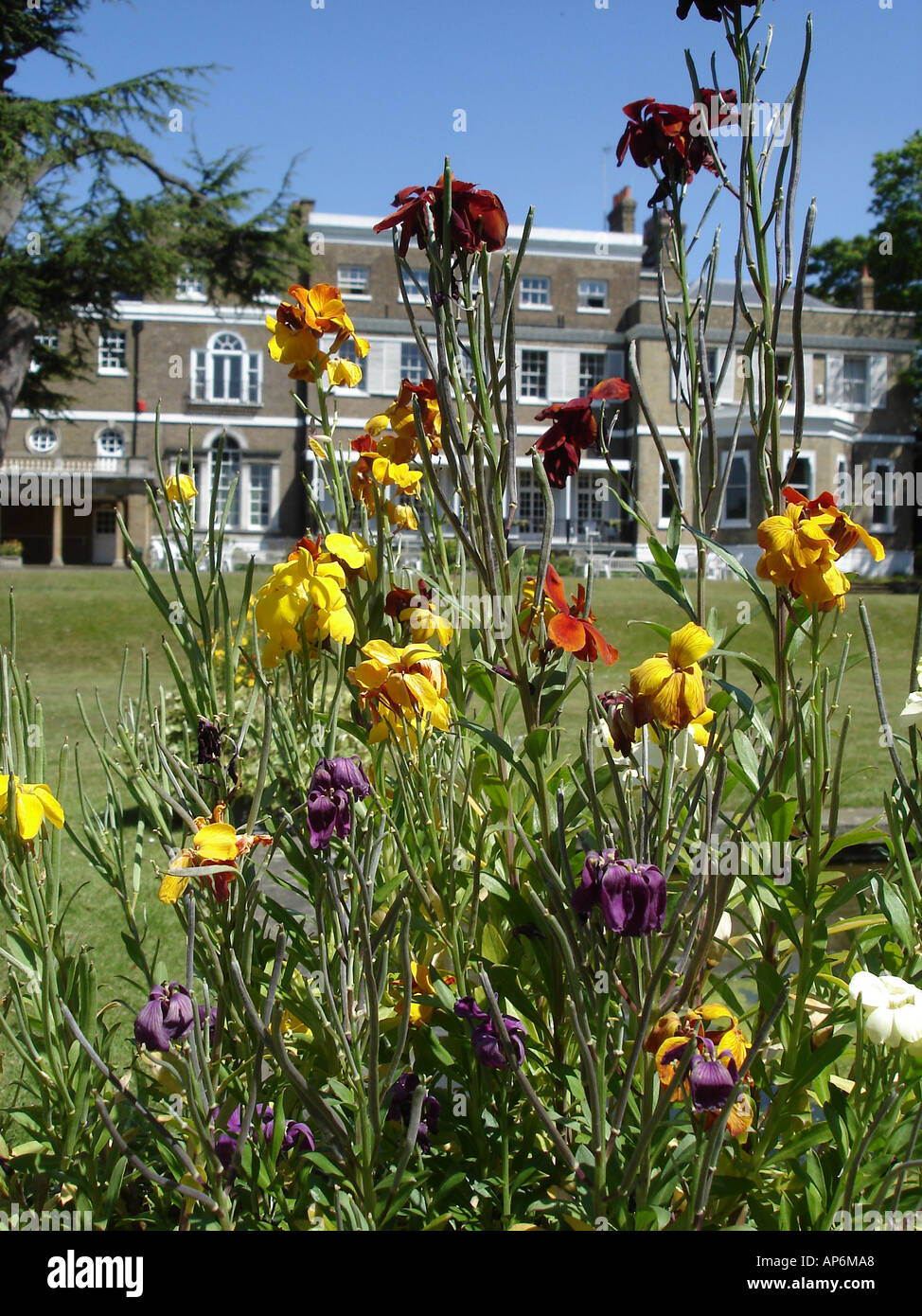 Templeton Estate on Priory Lane in Roehampton London England 2005 Stock ...