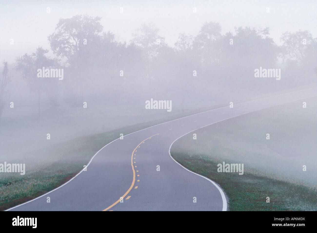 winding road,fog,green grass,trees Stock Photo - Alamy