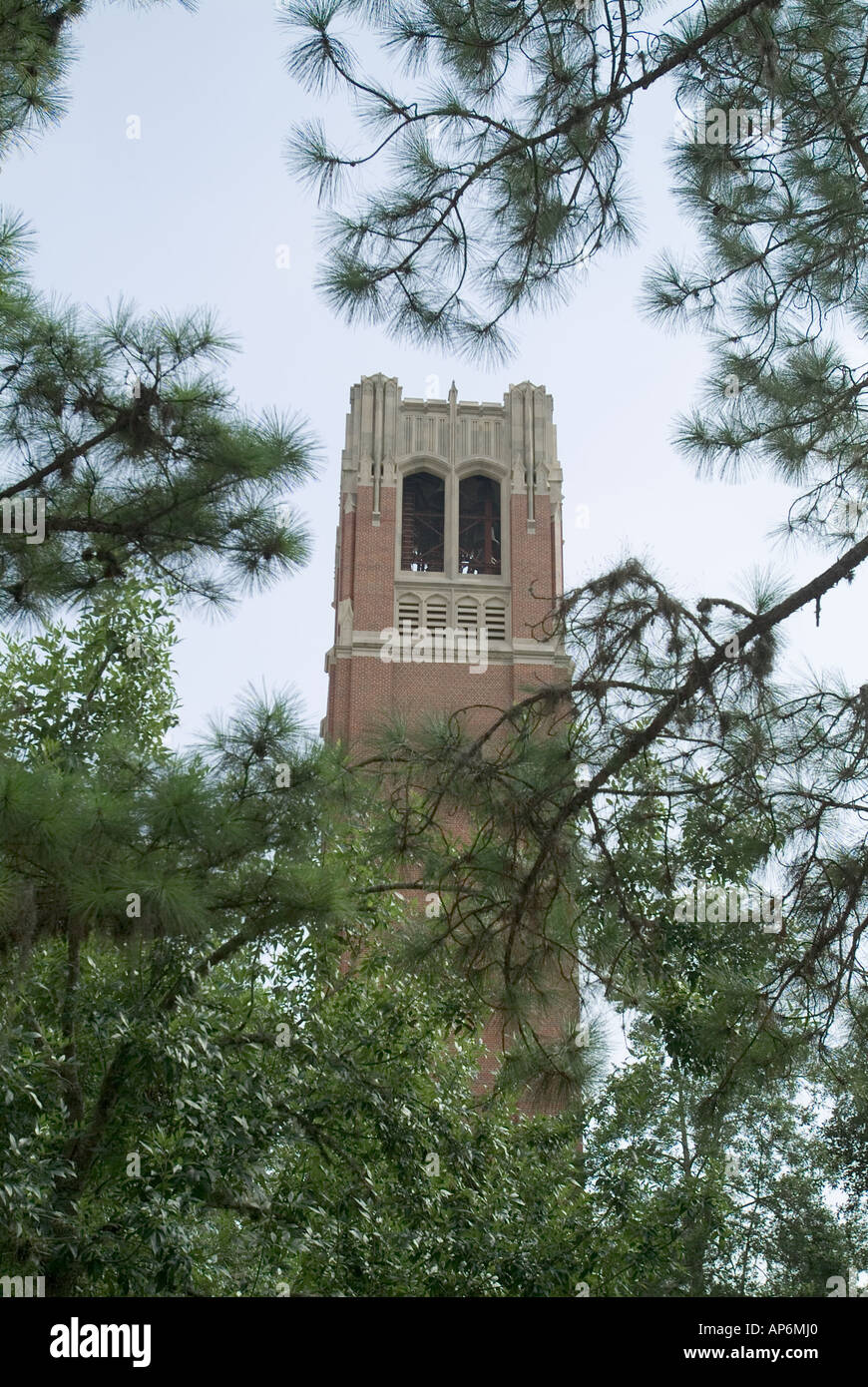 University of florida campus hi-res stock photography and images - Alamy