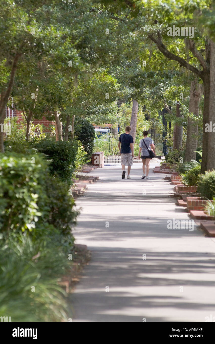 University of Florida campus Gainesville FL college school students ...