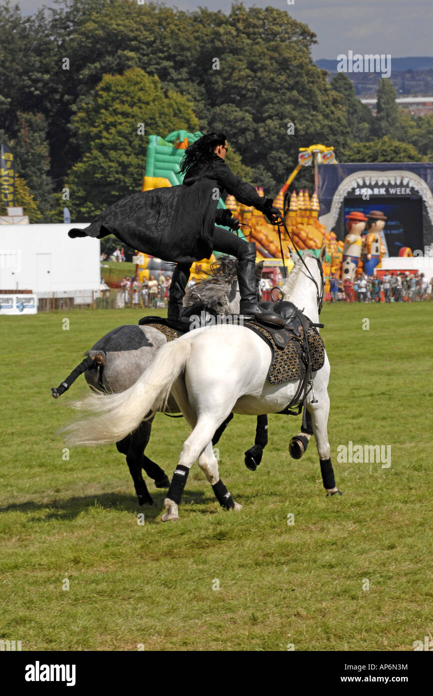 Cossack horse display hi-res stock photography and images - Alamy