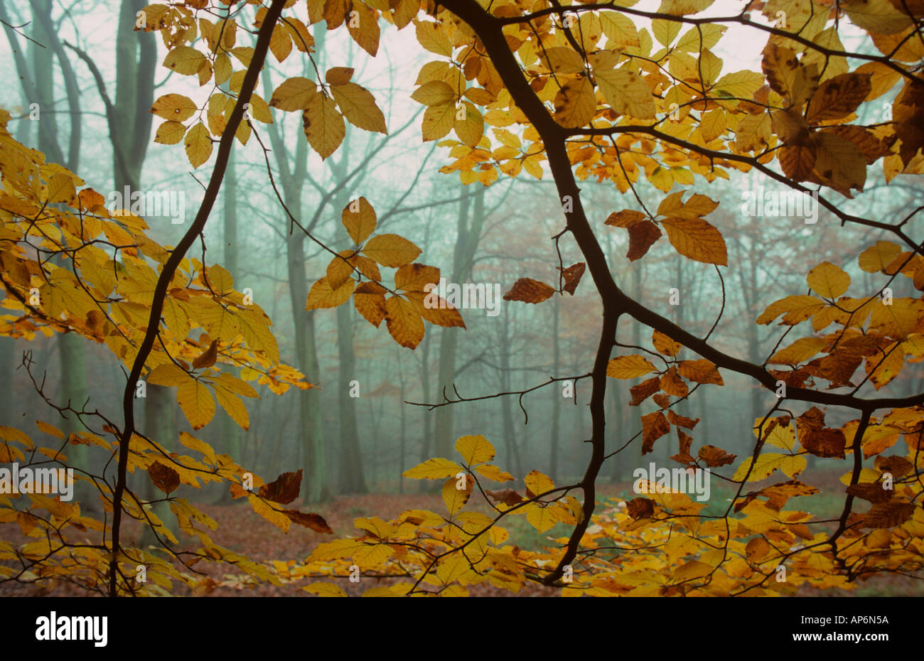 Homecounties hi-res stock photography and images - Alamy