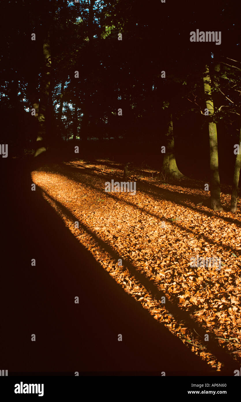 Homecounties hi-res stock photography and images - Alamy