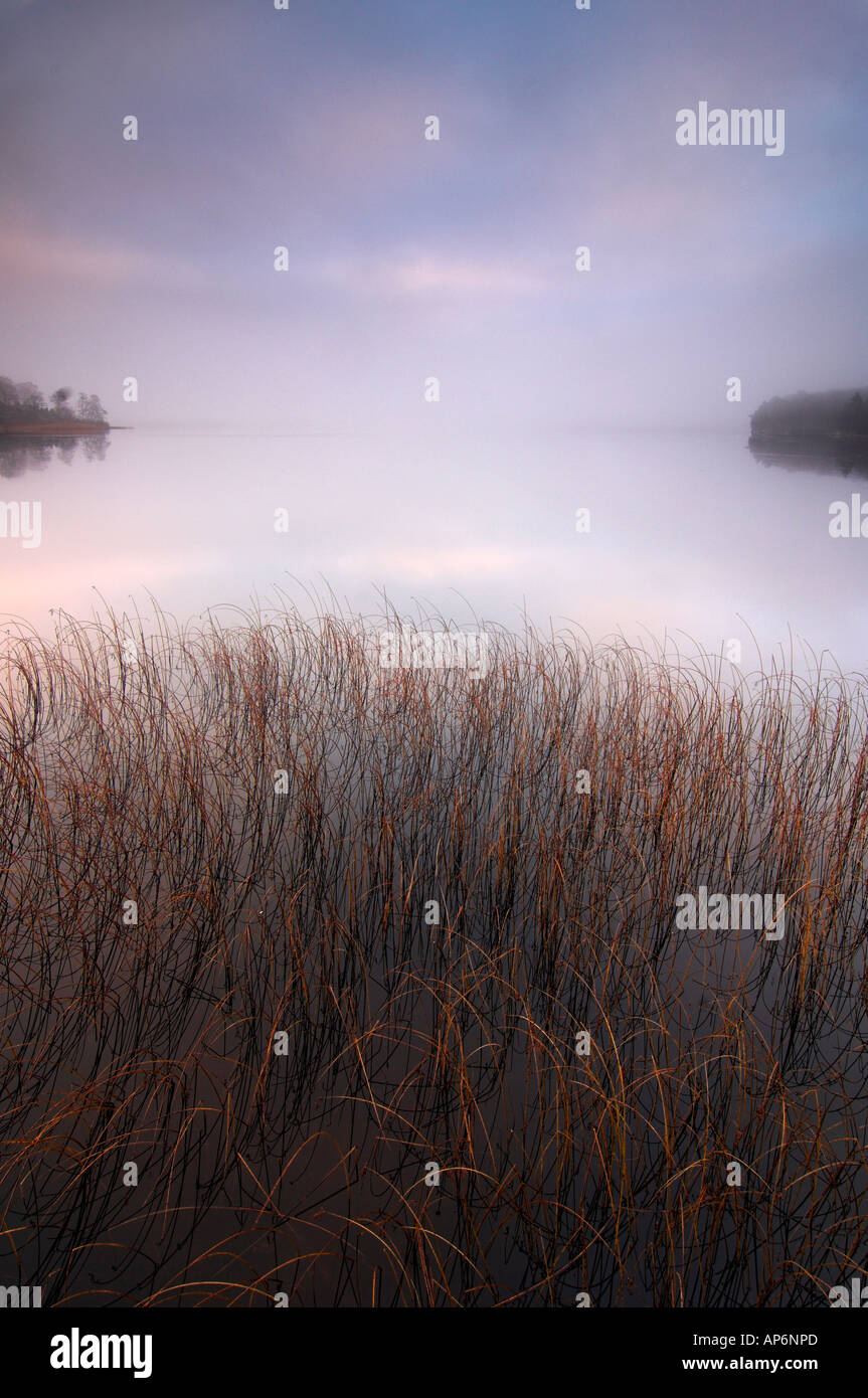 Reeds lake radasjon hi-res stock photography and images - Alamy