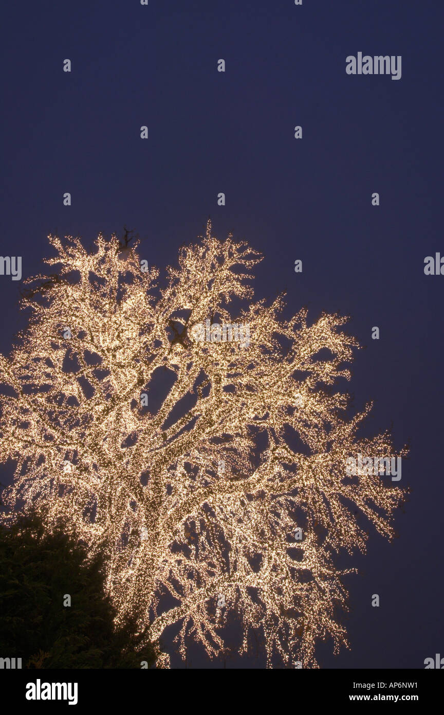 Sweden christmas tree hi-res stock photography and images - Alamy