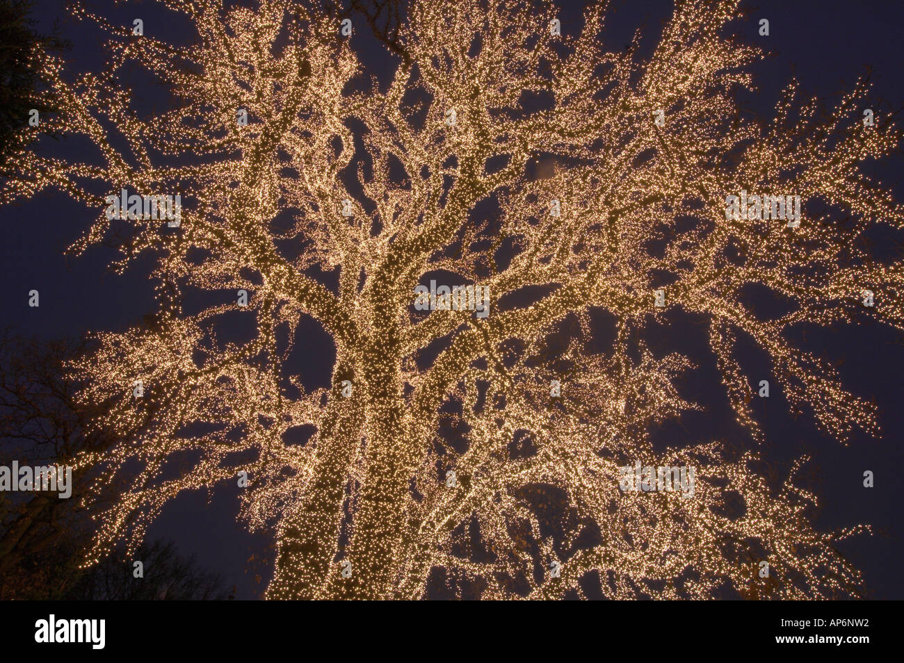 Sweden christmas tree hi-res stock photography and images - Alamy