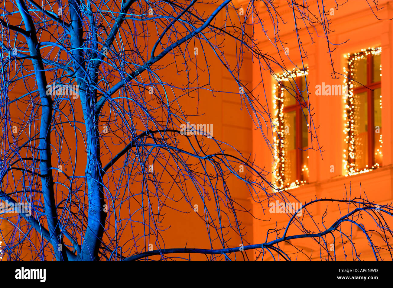 Tree in front of illuminated building Stock Photo - Alamy