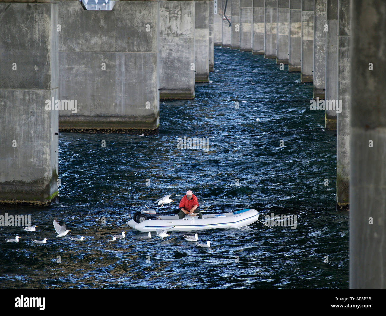 Load bearing belt hi-res stock photography and images - Alamy