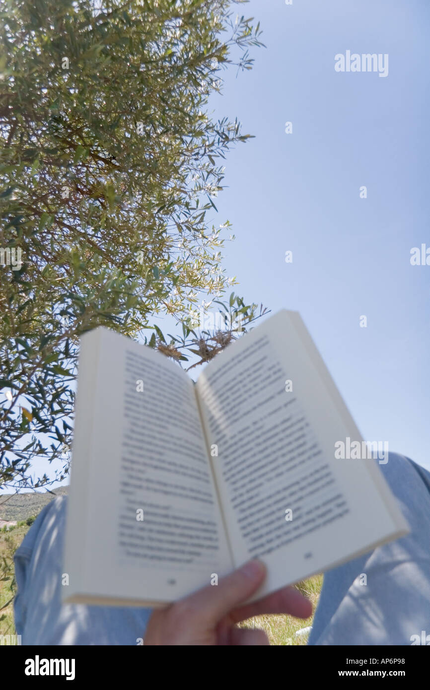 Reading book under tree Stock Photo - Alamy