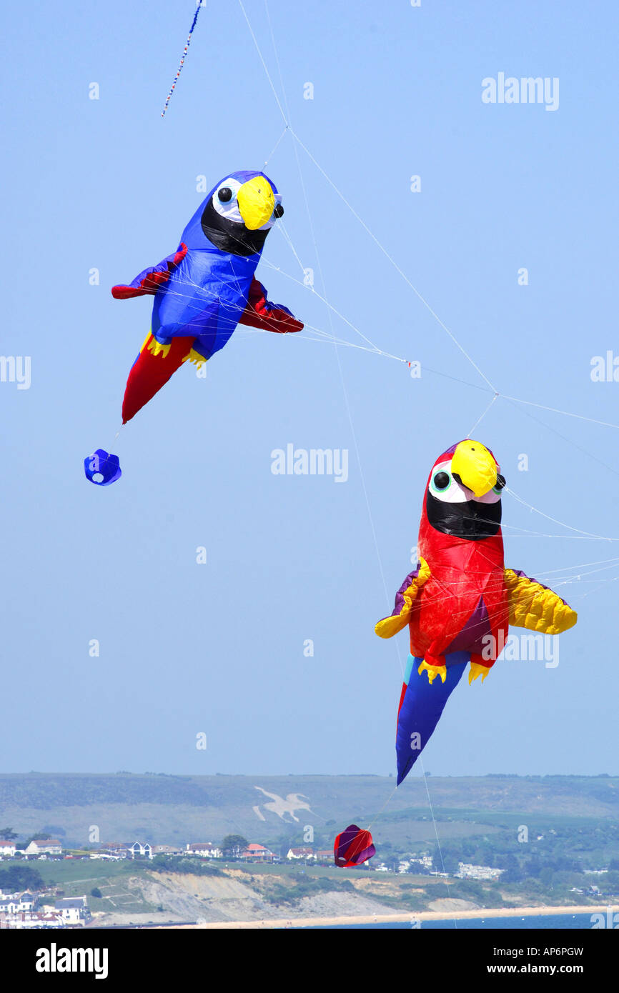 Parrot shaped kites floating in the air over Weymouth Dorset Stock ...