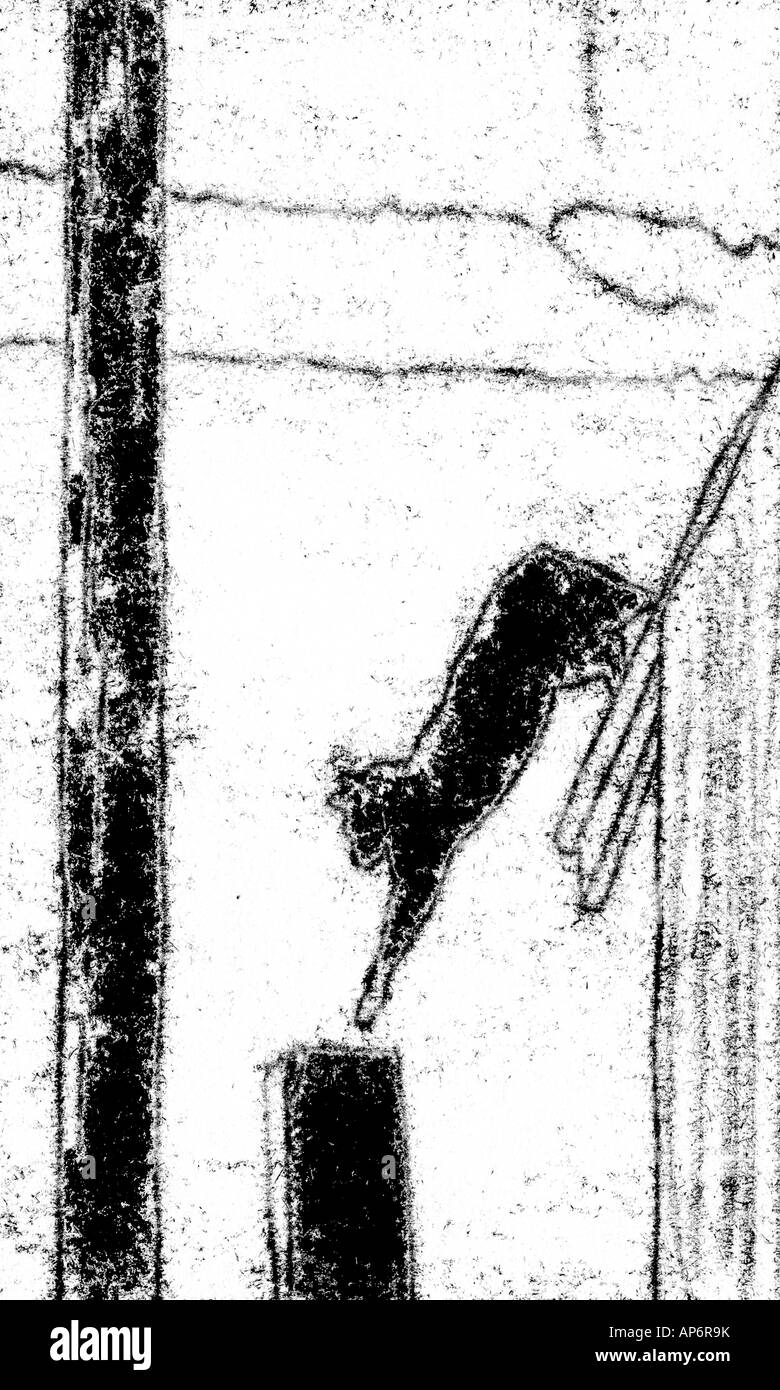 Country run Black and White Stock Photos & Images - Alamy