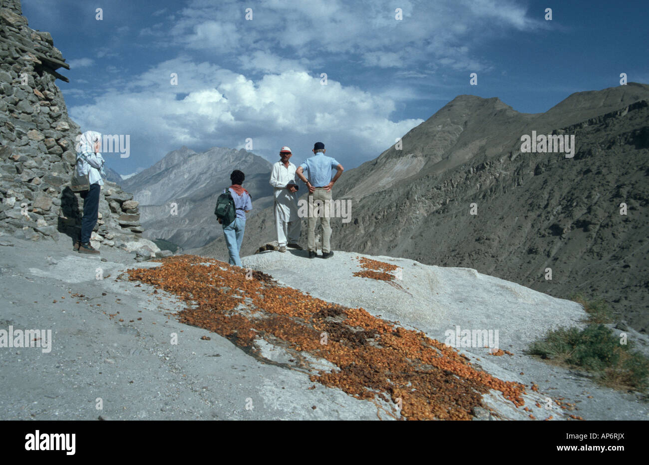 Hunza apricots pakistan hi-res stock photography and images - Alamy