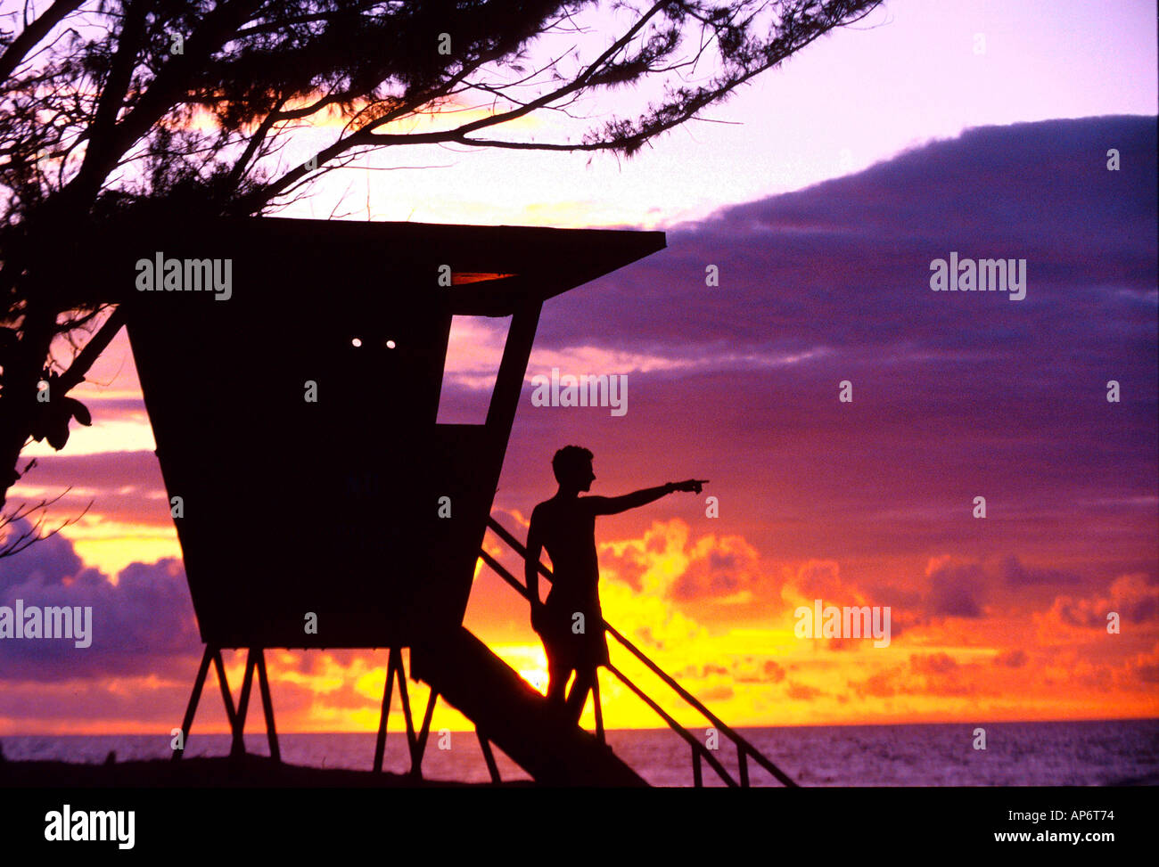 Man pointing at surfer hi-res stock photography and images - Alamy