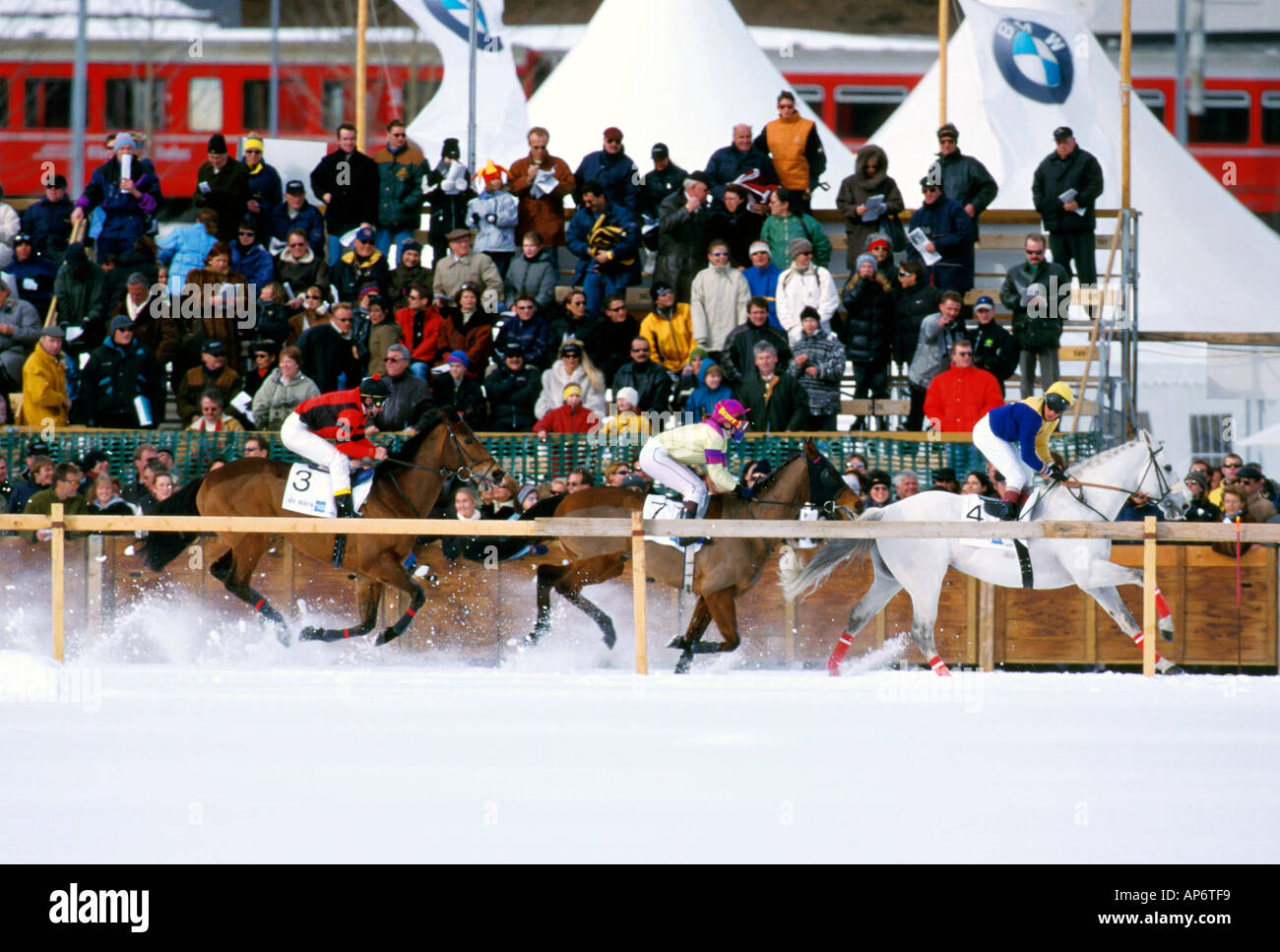 HORSE RACING IN ST MORITZ Stock Photo - Alamy