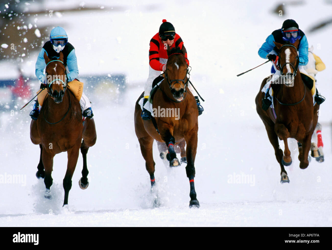 Full length horses horse racing hi-res stock photography and images - Alamy