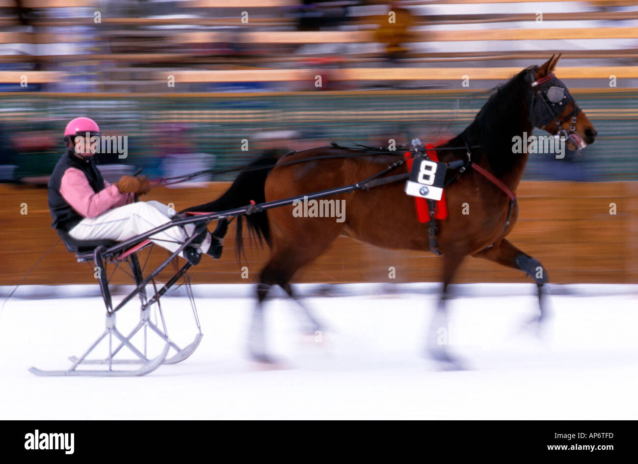 Sport of horse pulling hi-res stock photography and images - Alamy