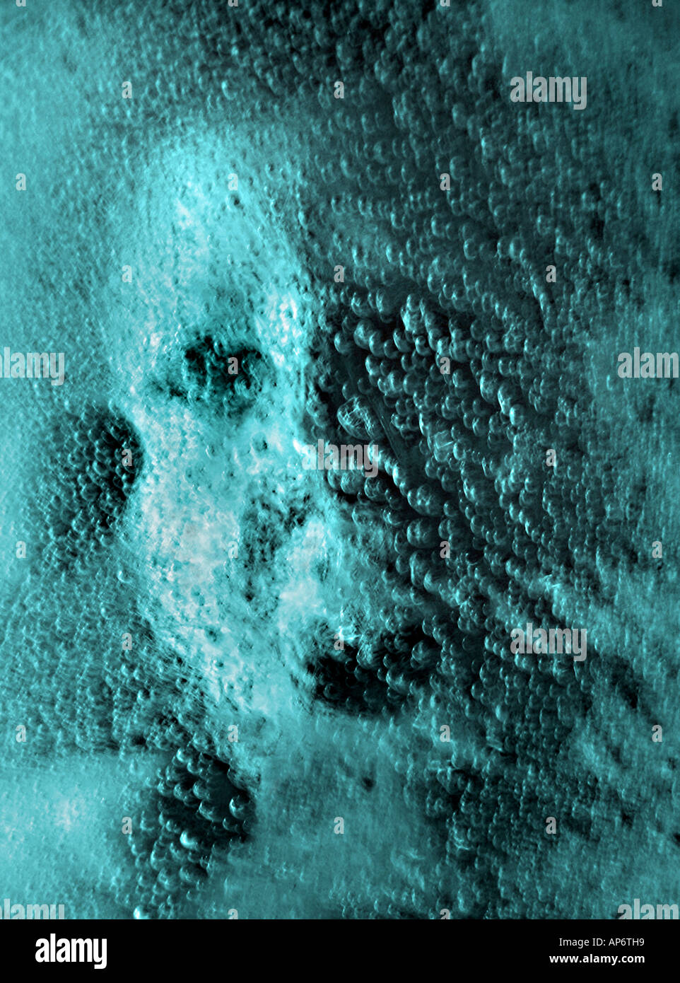 Drowning woman hi-res stock photography and images - Alamy