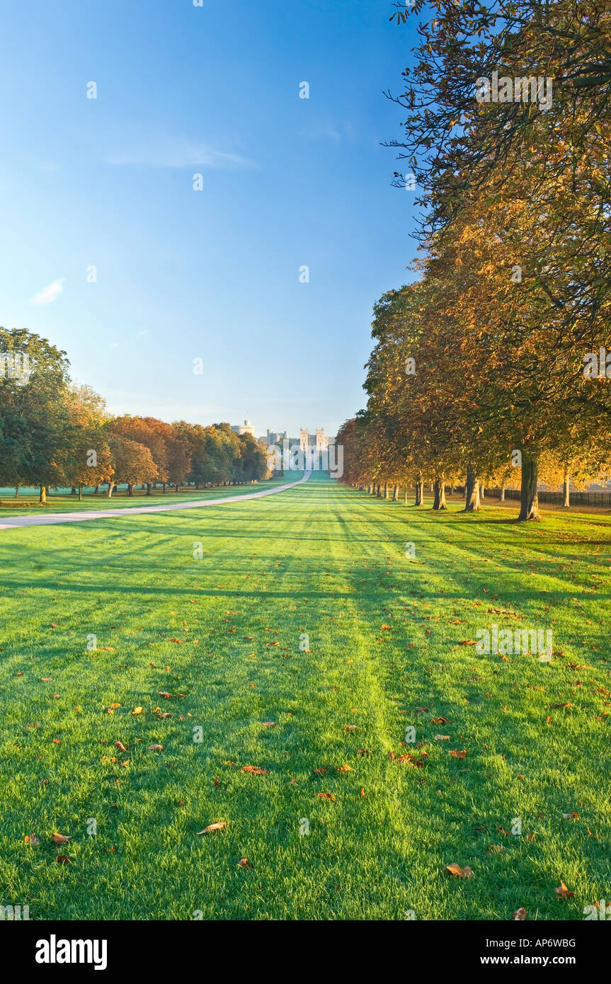 Windsor Castle in early autumn morning from Long Walk Windsor Berkshire ...