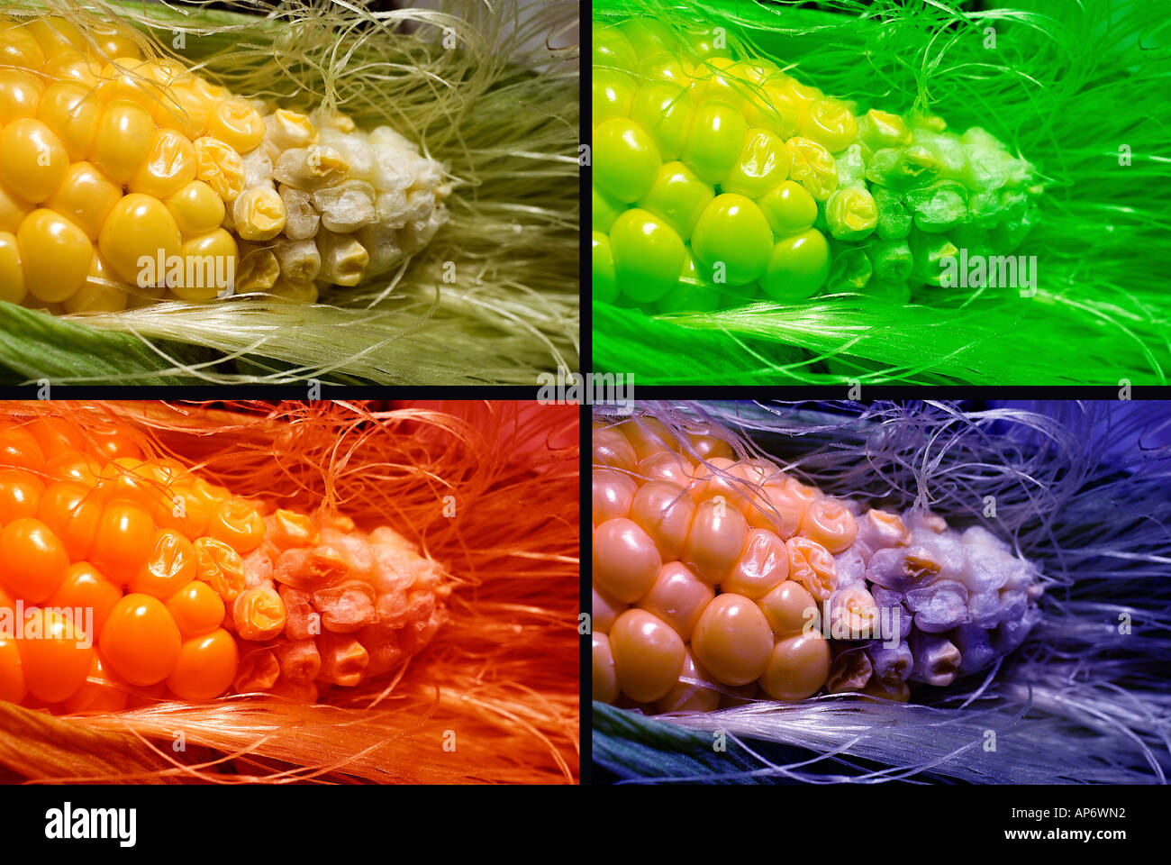 Corn mosaic hi-res stock photography and images - Alamy