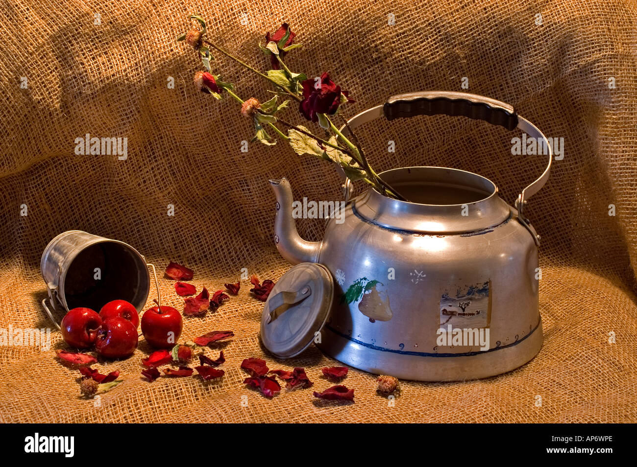 Still life with tin kettle and dried red roses on a jute background ...