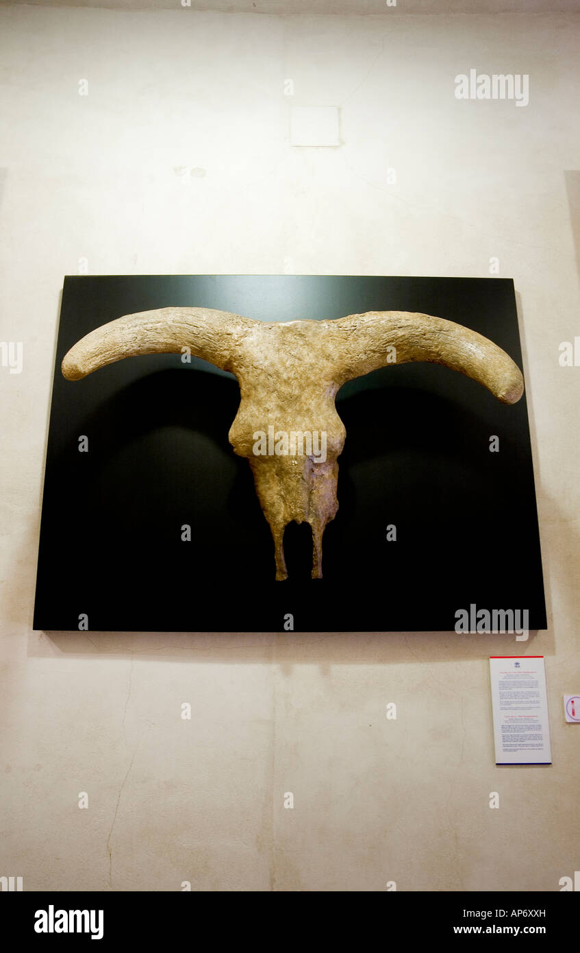 Ernest Hemingway Bulls High Resolution Stock Photography and Images - Alamy