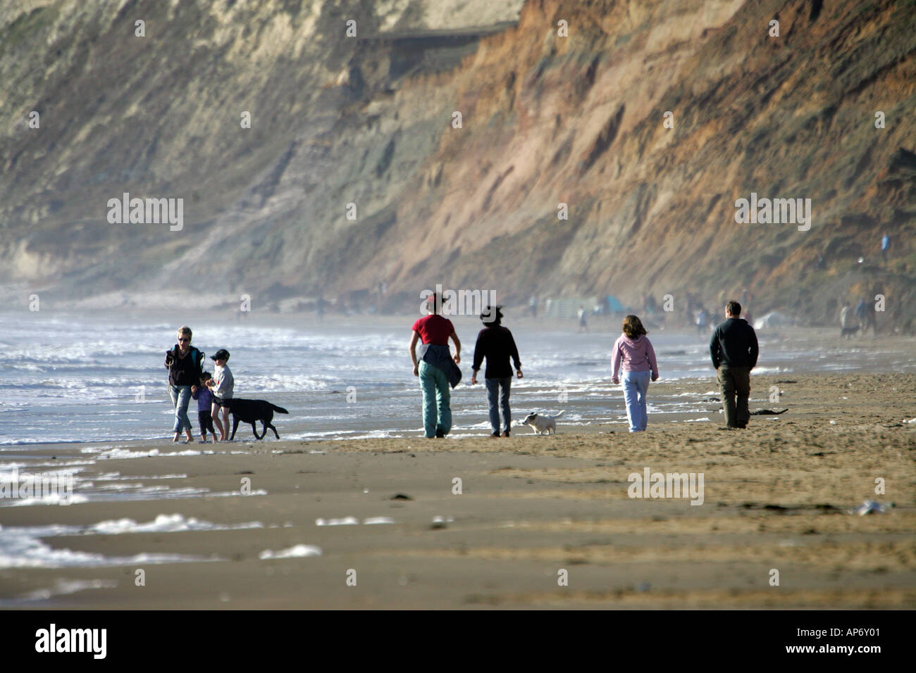 dog walkers Compton bay Isle of Wight England UK Stock Photo - Alamy