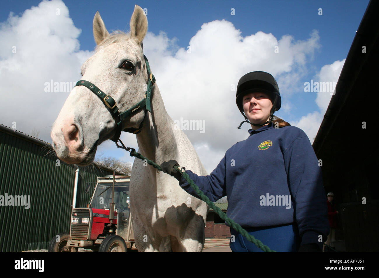 Equine Studies Pencoed College Stock Photo - Alamy