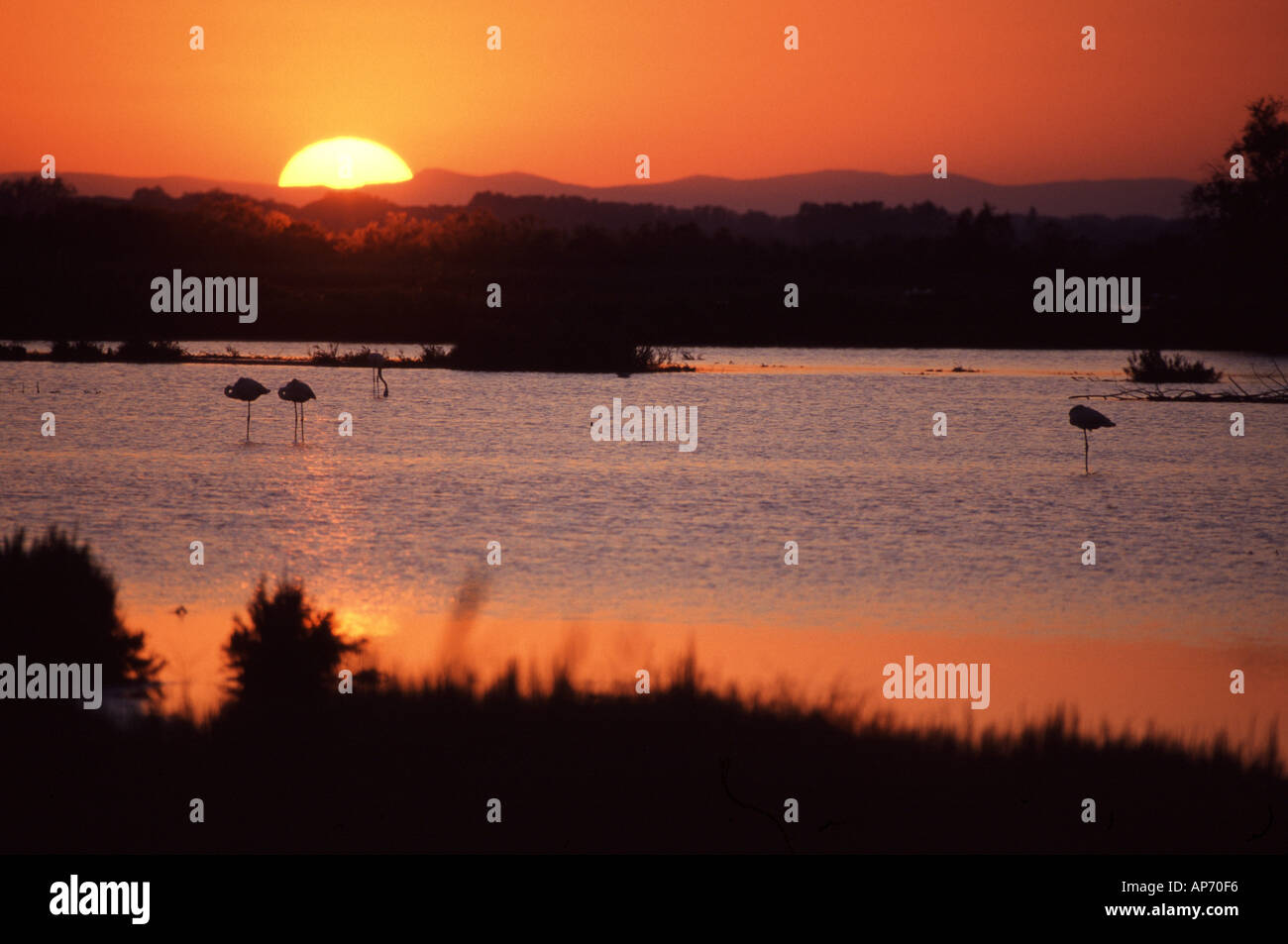Provence France sunset in Camargue Stock Photo - Alamy