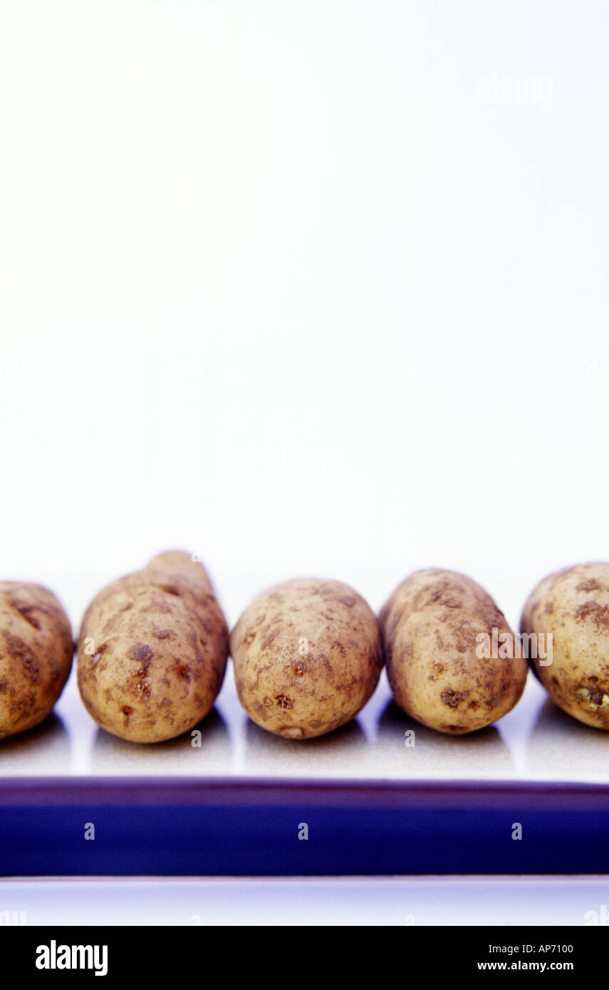 A row of fresh young potatoes lined up on a rectangular plate against ...