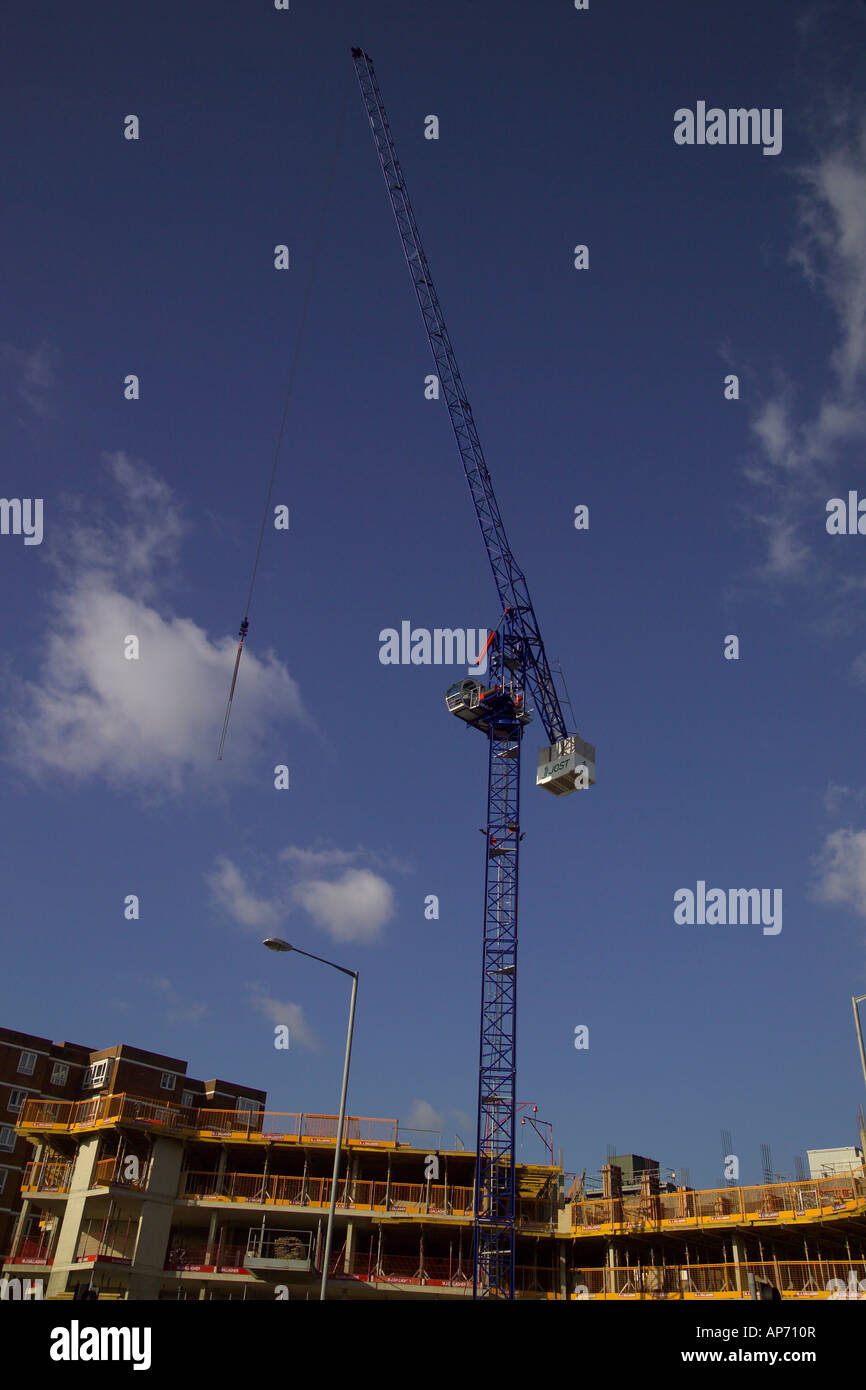 Blue Crane on Building Site Stock Photo - Alamy
