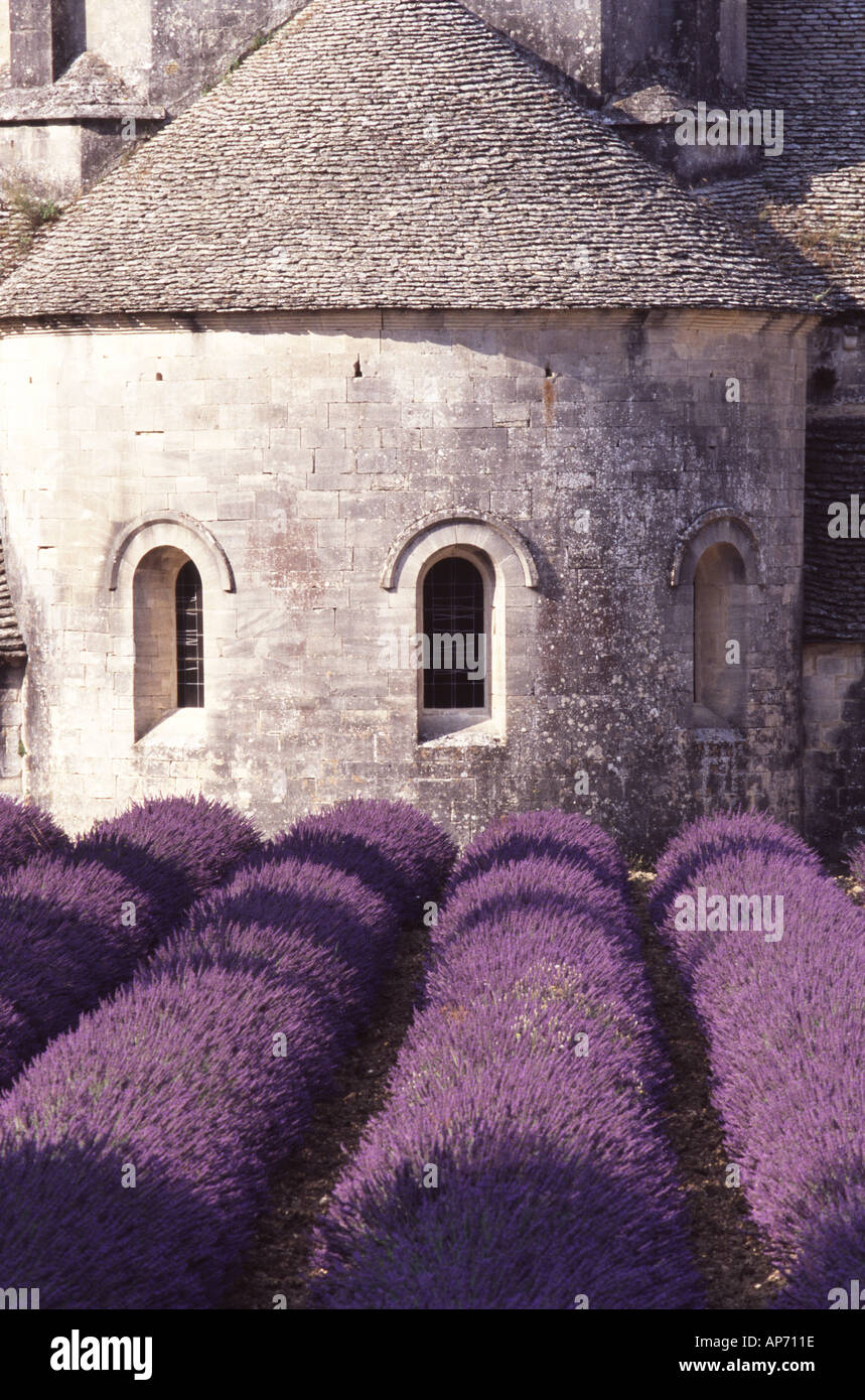 Provence France Senanque Abbey Stock Photo - Alamy