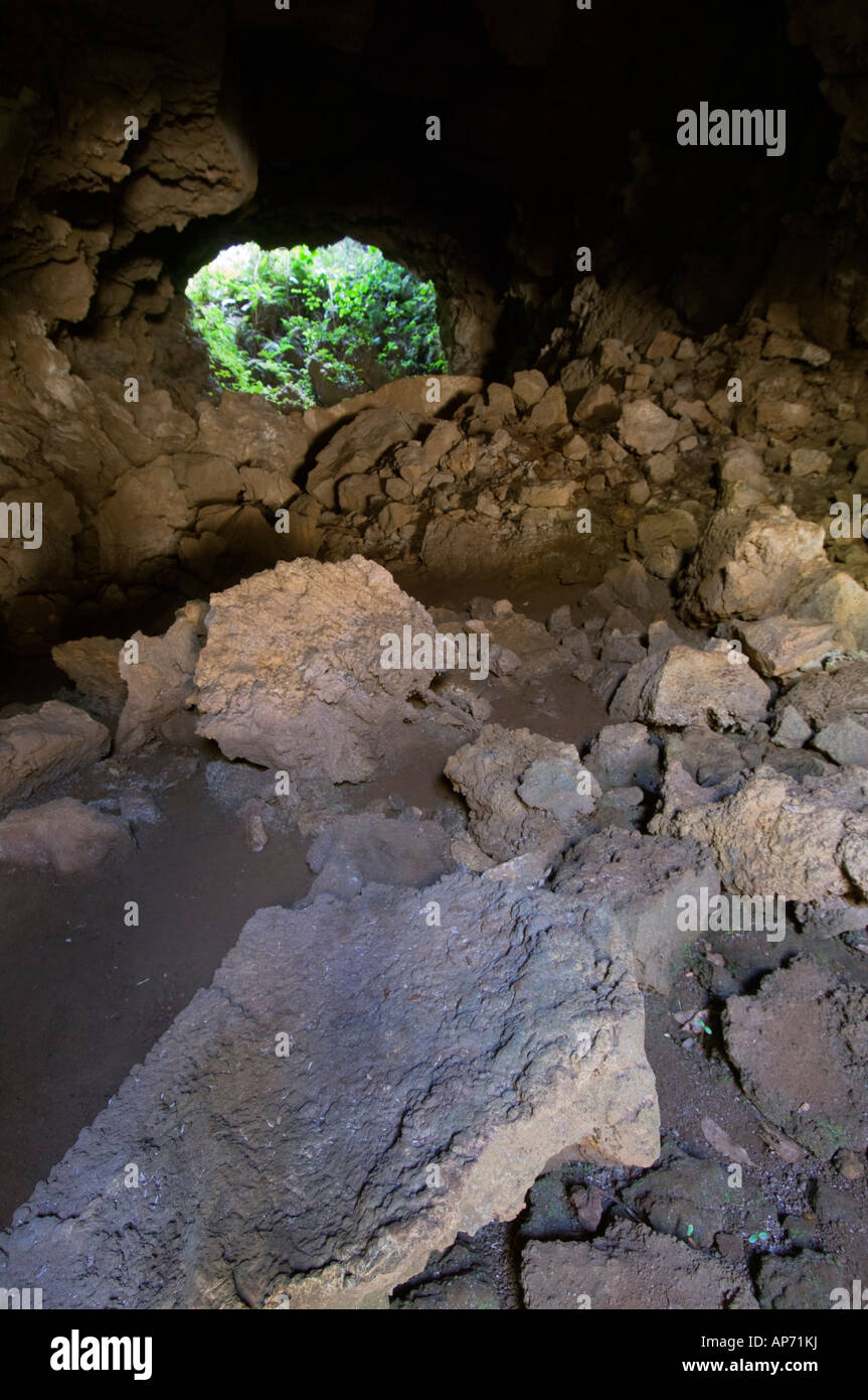 Lava tube Santa Cruz Galapagos National Park Ecuador Stock Photo - Alamy