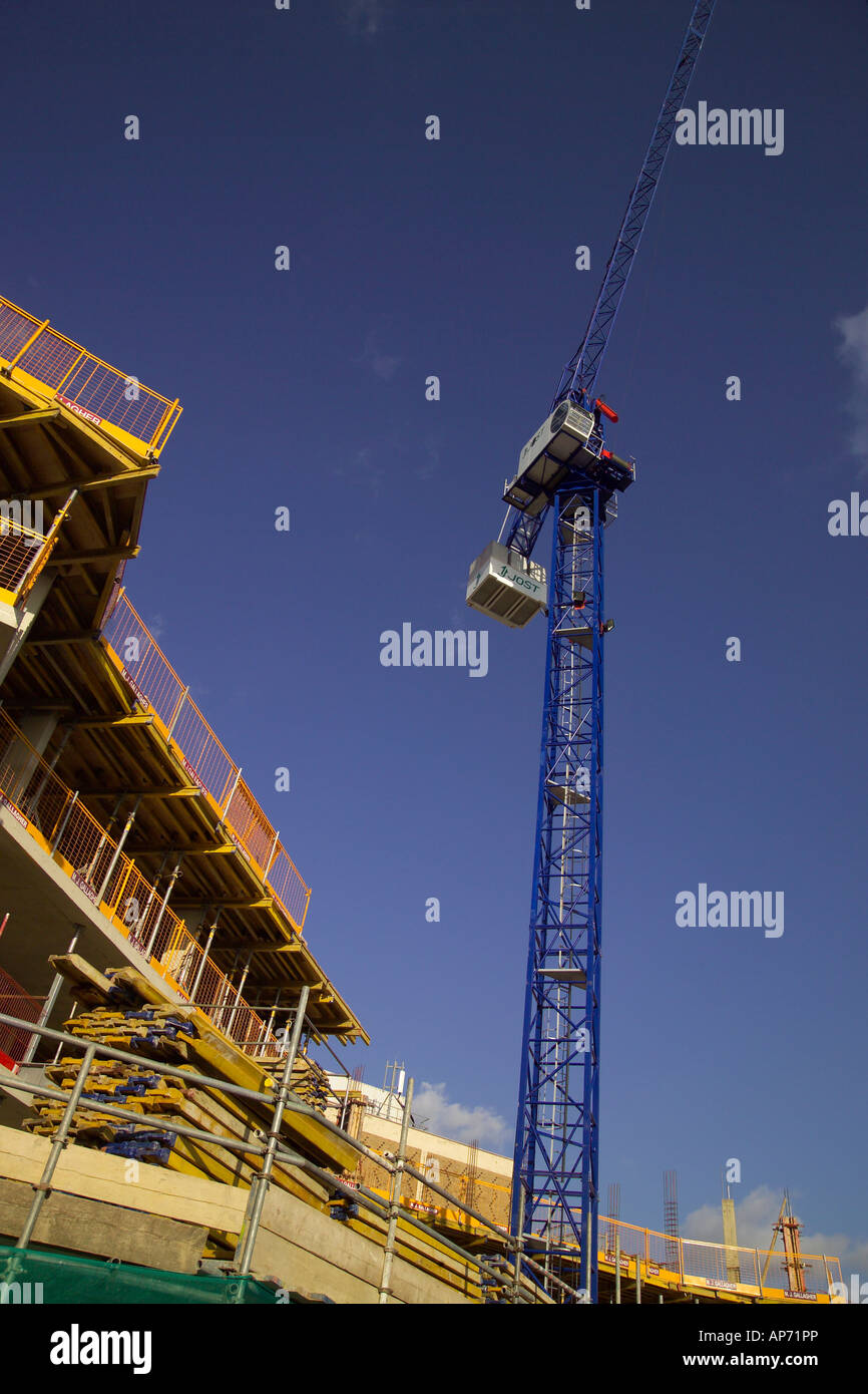 Blue Crane on Building Site Stock Photo - Alamy