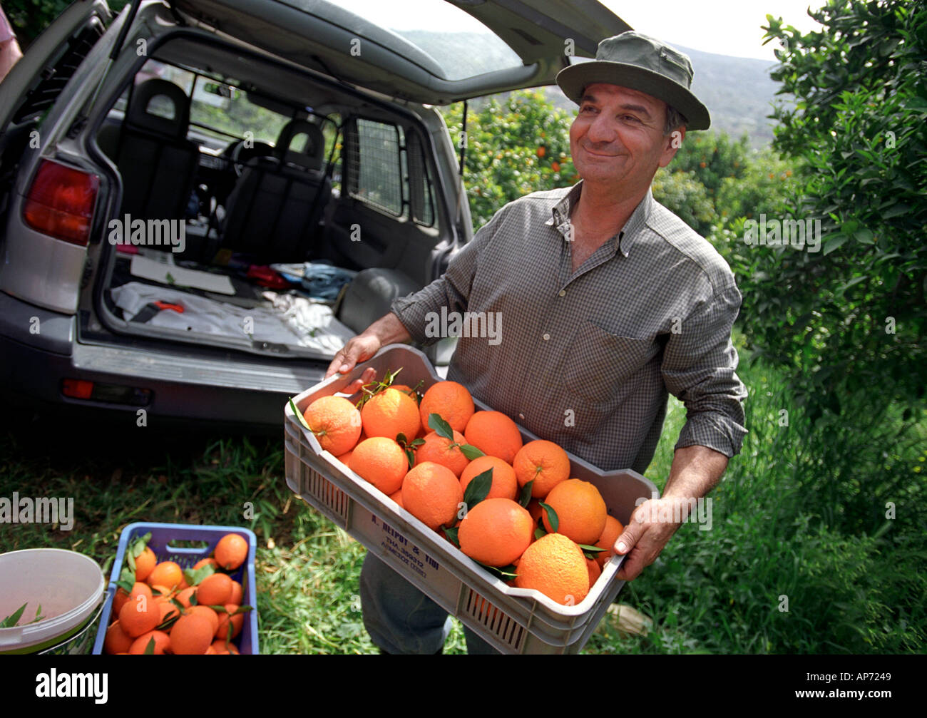 Cypriot orange tree hi-res stock photography and images - Alamy