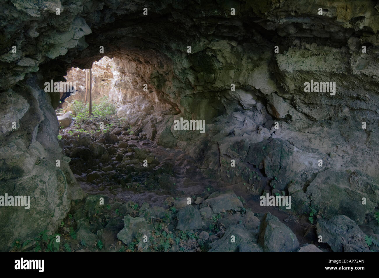 Lava tube Santa Cruz Galapagos National Park Ecuador Stock Photo - Alamy