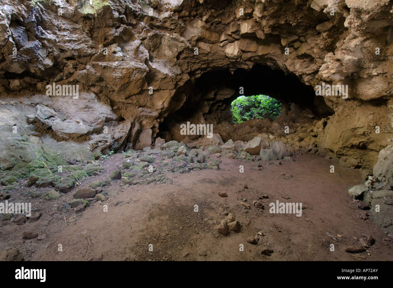 Lava tube Santa Cruz Galapagos National Park Ecuador Stock Photo - Alamy