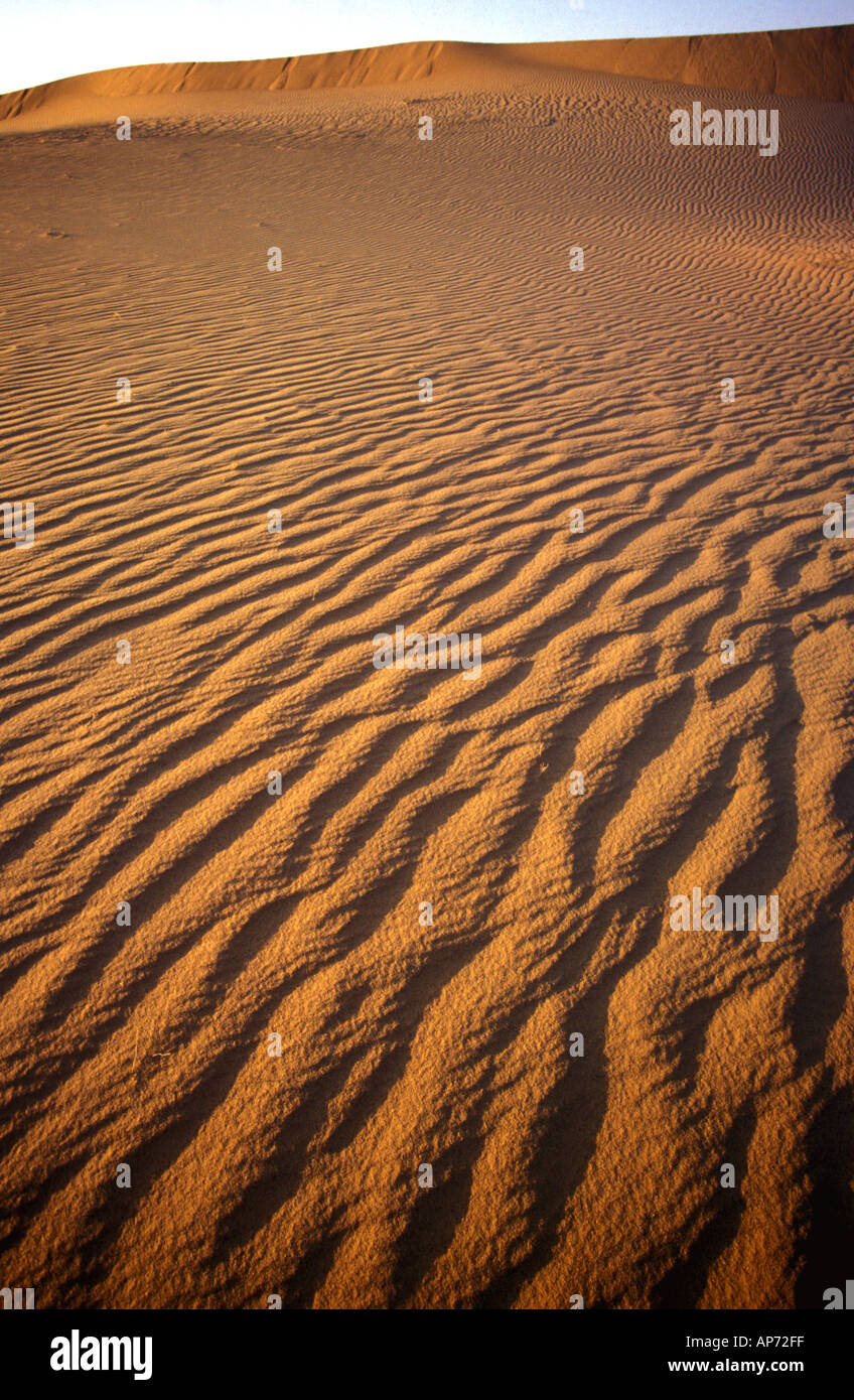 Ripples in arabian desert dune saudi arabia Stock Photo - Alamy